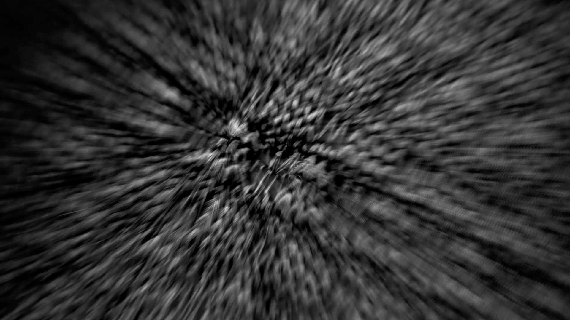 Wound Care Dressings | Silver Dressings | Silverlon